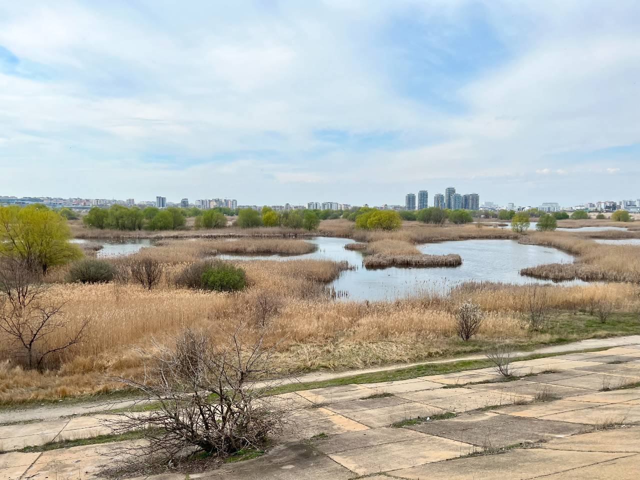 Instagrammable Places in Bucharest